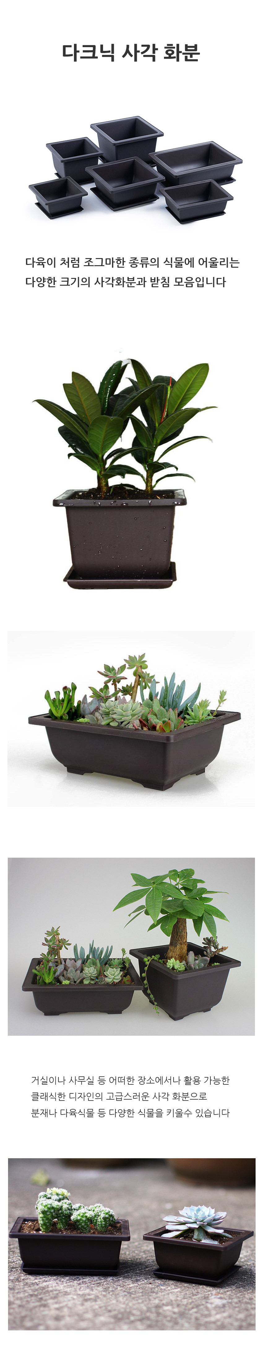 hplusmall 모던심플 다육이 미니사각 다크닉화분 - 1212 - 핫트랙스