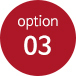 option3.jpg