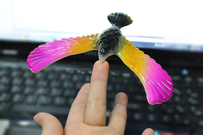 Phalaenopsis - The "Moth Orchid" : r/pics