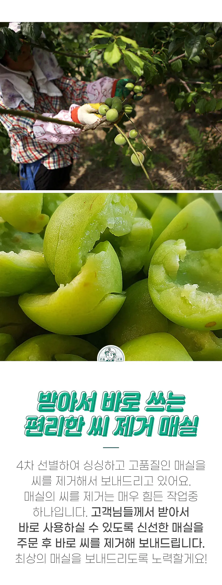 씨제거매실 3kg
