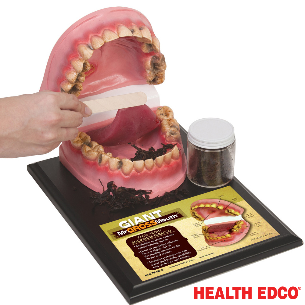 서울종로의료기