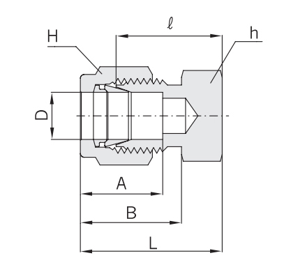 Lok Fitting - Cap - 1/4 inch