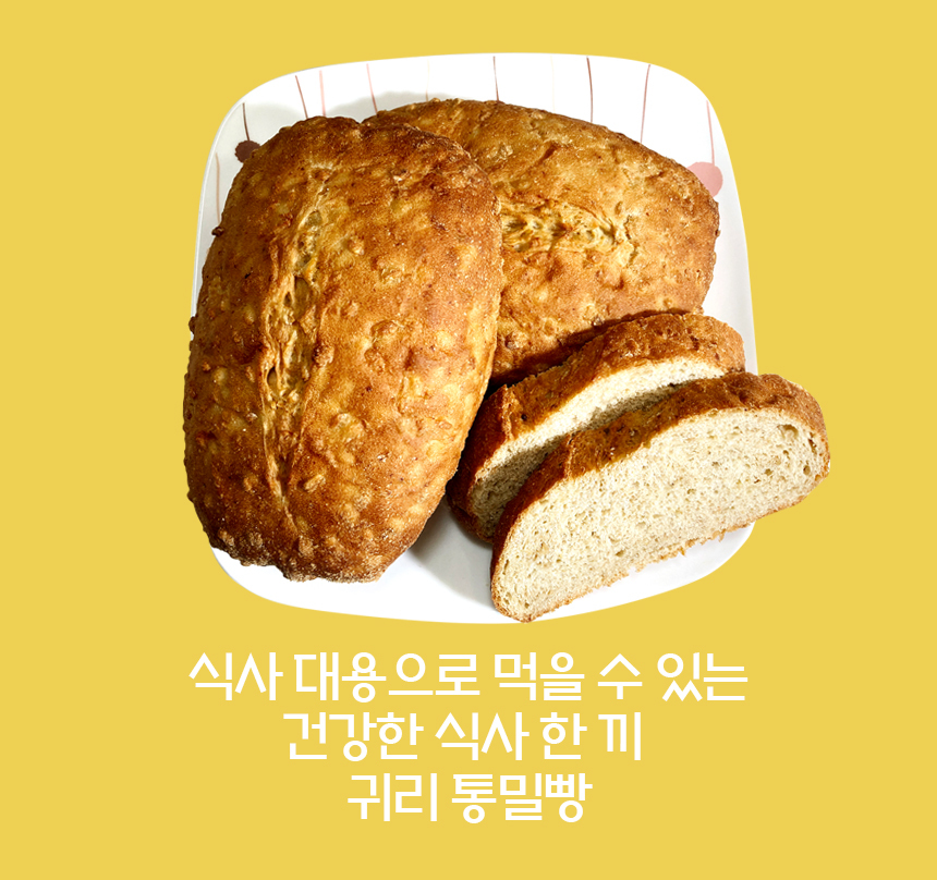 [유스마일], 귀리통밀빵, 350gX2봉 스테비아 만능 소스(70g)증정 > 빵류 | 사이소