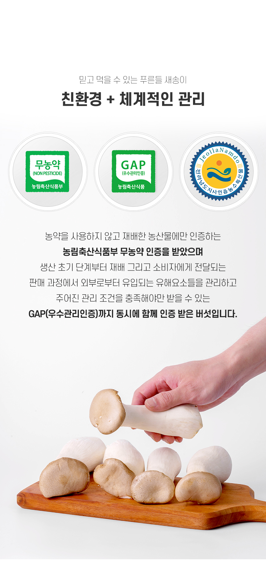 [푸른들] 무농약 GAP인증 새송이버섯 상 2kg