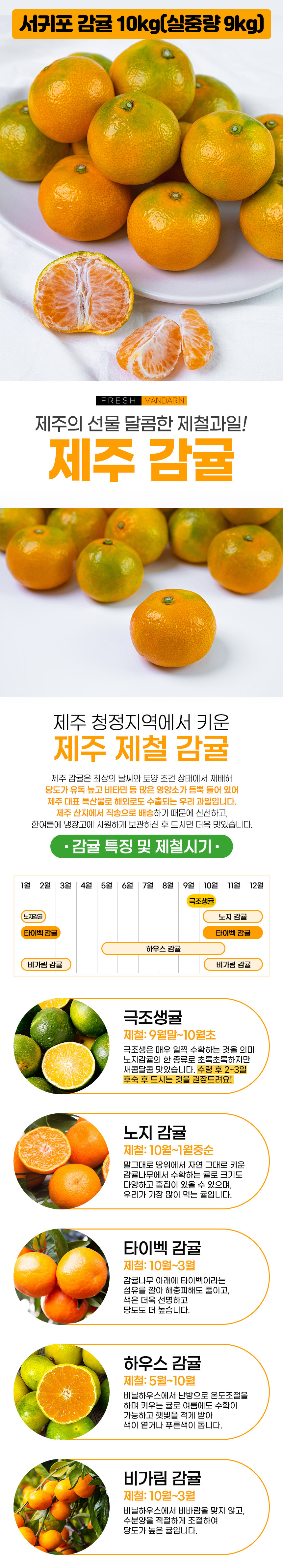 제주 하우스 감귤 5Kg(2S-L) - 현대Hmall