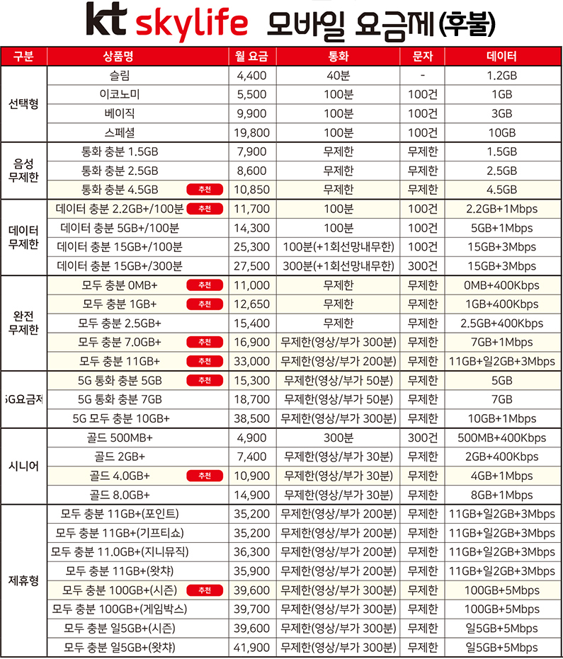 지구010닷컴-알뜰폰/선불폰KT skylife 모바일(후불)