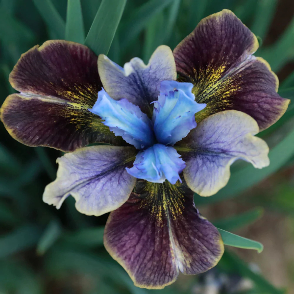 우리화훼종묘 쇼핑몰